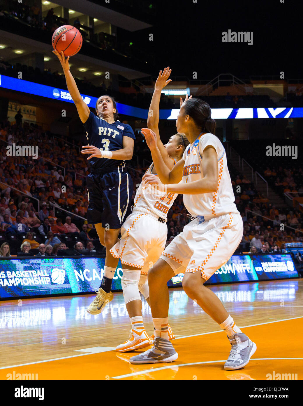 March 23, 2015: Brianna Kiesel #3 of the Pittsburgh Panthers shoots the ...