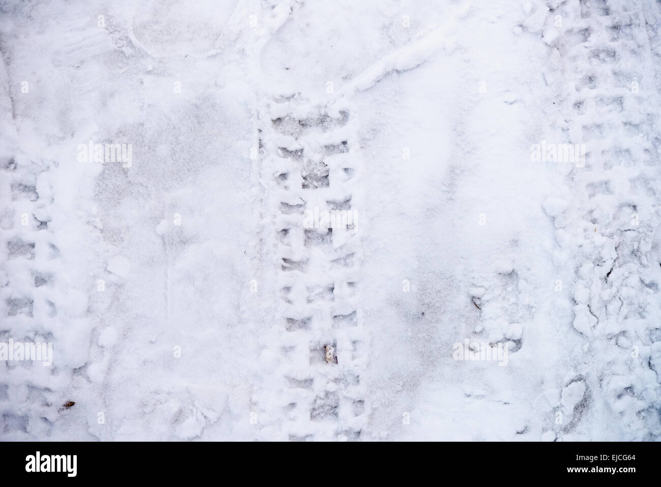 Car racing track texture hi-res stock photography and images - Alamy