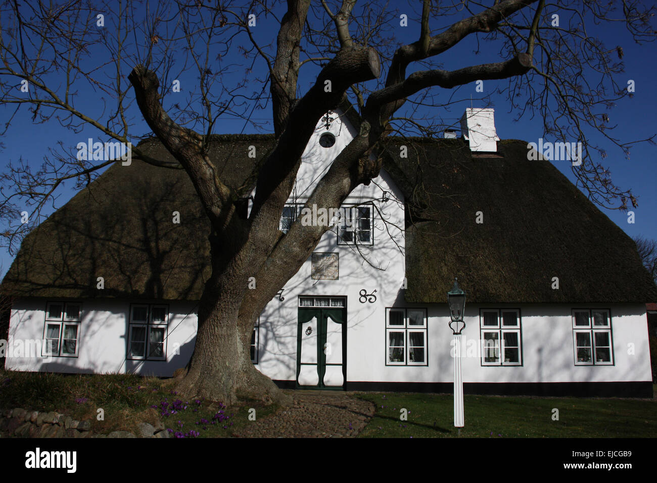 Frisian house hi-res stock photography and images - Alamy