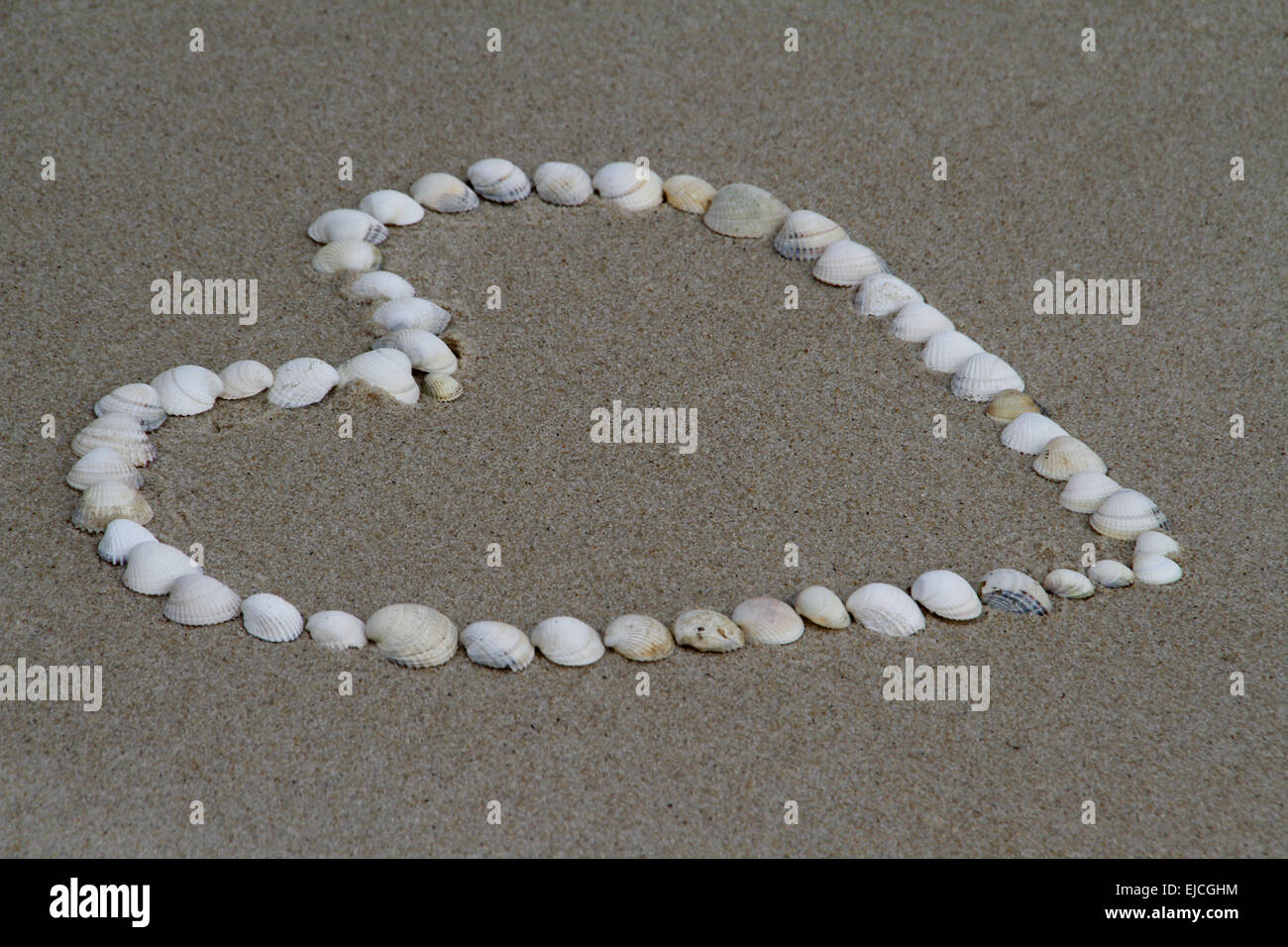 Muschelherz hi-res stock photography and images - Alamy