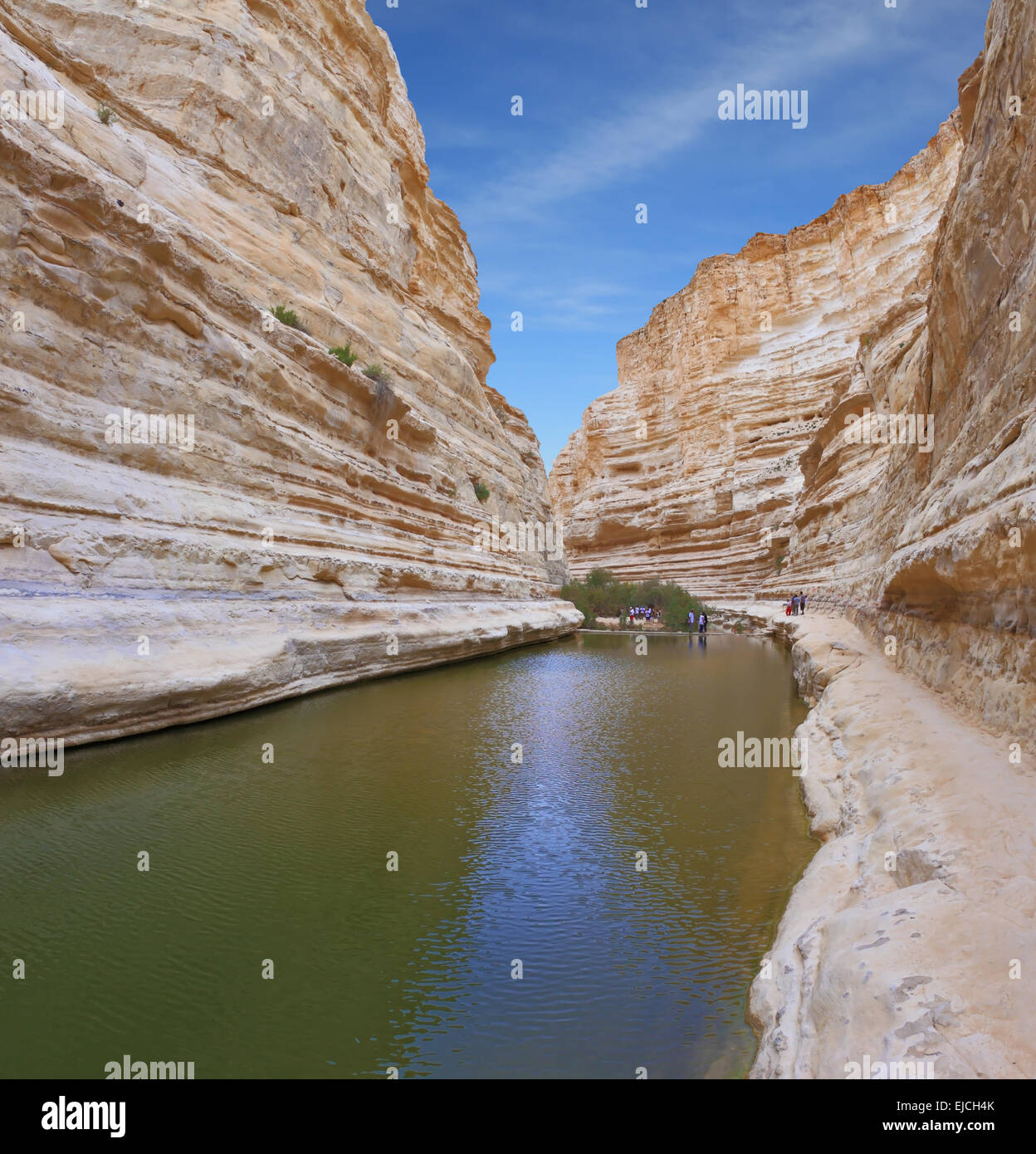 Ein avdat canyon negev israel hi-res stock photography and images - Alamy
