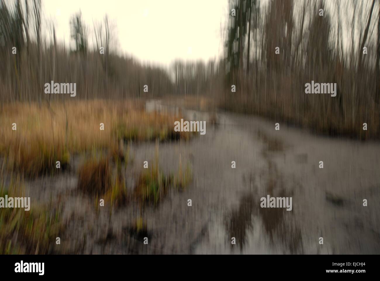 Floodplain photography hi-res stock photography and images - Alamy