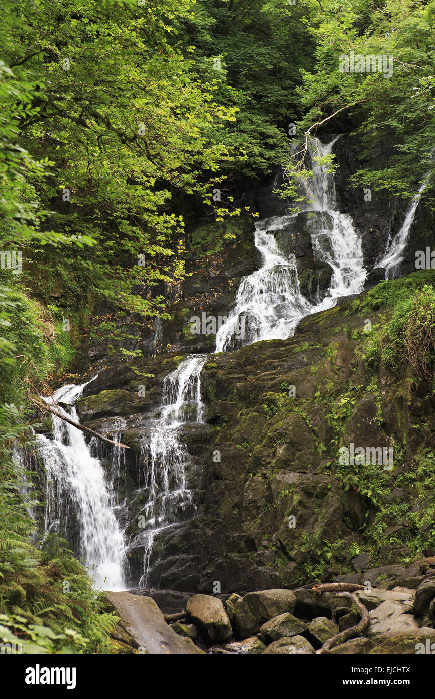 Torc Waterfall in Killarney National Park Stock Photo - Alamy