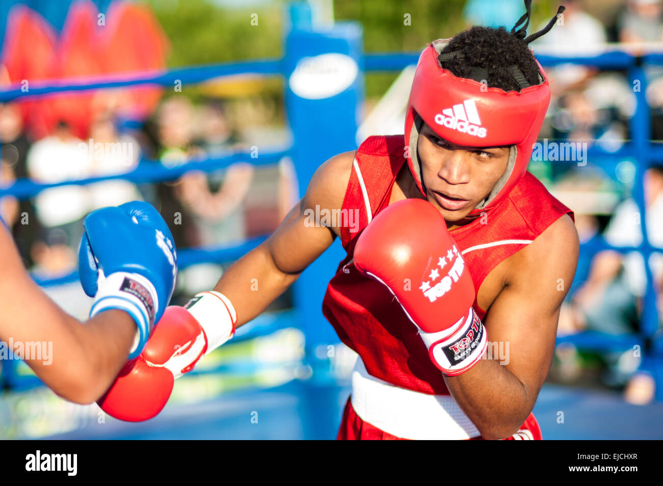 Boxing match winner ring hi-res stock photography and images - Alamy