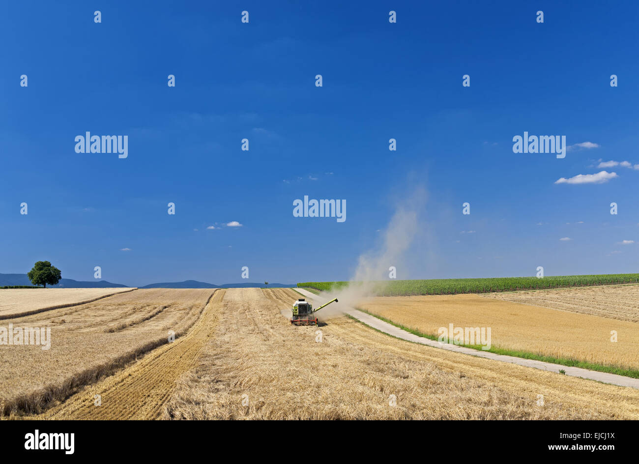 Grain harvest hi-res stock photography and images - Alamy