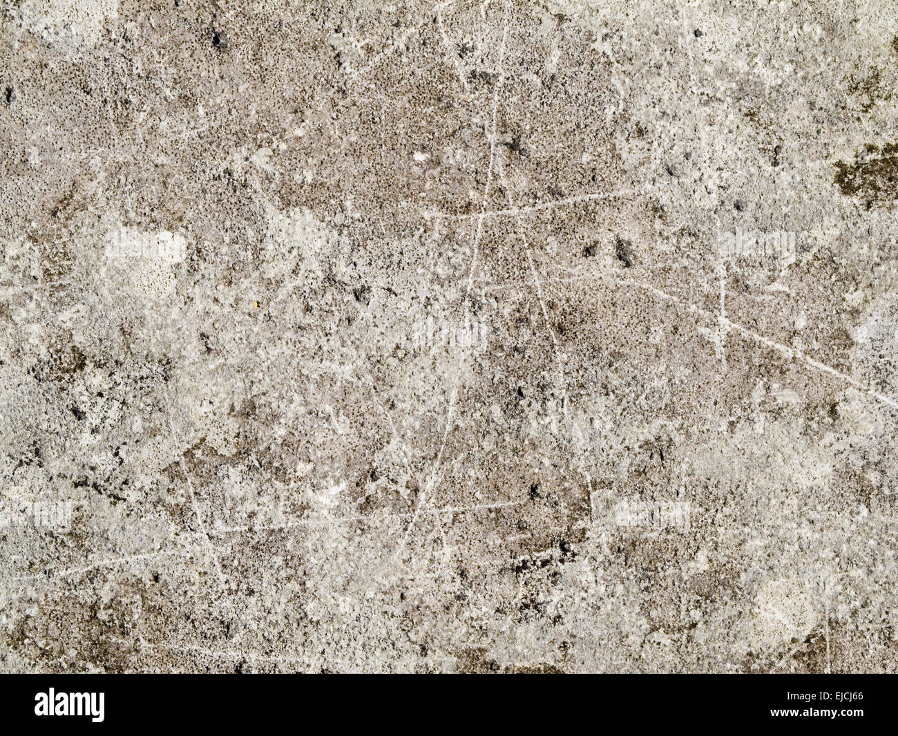 concrete with pores Stock Photo - Alamy