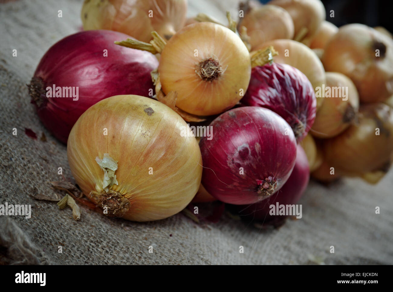 Hanging bunch bundle of onion Stock Photo - Alamy