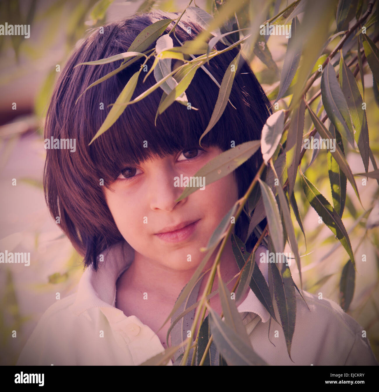 Portrait of a boy Stock Photo - Alamy