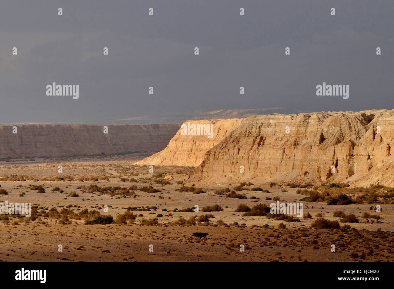 Negev desert scene in the northern Aravah (Arabah Stock Photo - Alamy