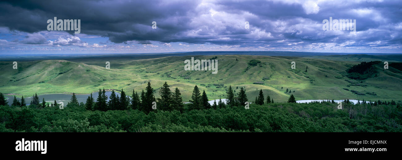 Cypress hills provincial park hi-res stock photography and images - Alamy