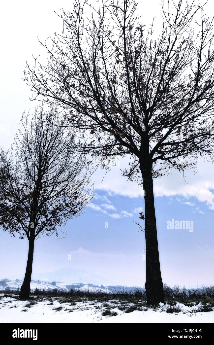 cold winter soft Stock Photo - Alamy