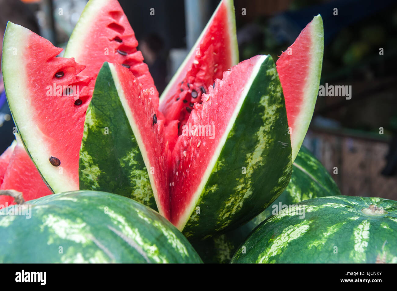 Watermelon is an annual herbaceous plant, a species of Citrullus family ...