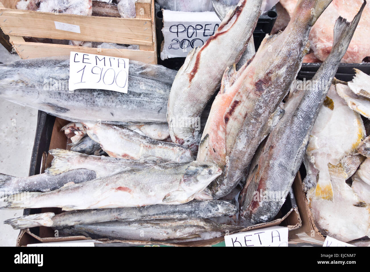 Fish marketing hi-res stock photography and images - Alamy