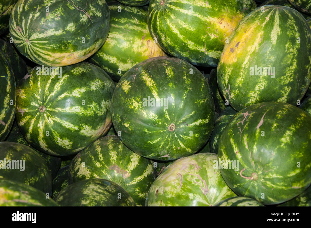 Cucurbitaceae family fruit hi-res stock photography and images - Alamy
