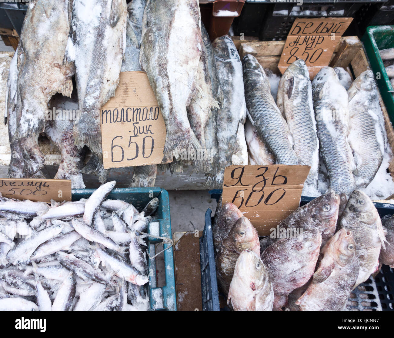 Frozen food supply hi-res stock photography and images - Alamy
