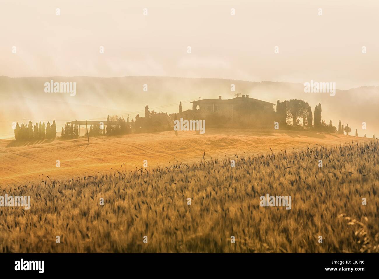 Early morning on countryside Stock Photo - Alamy