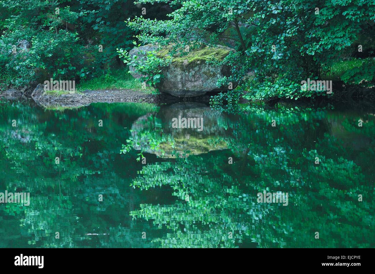 Edge of the water hi-res stock photography and images - Alamy