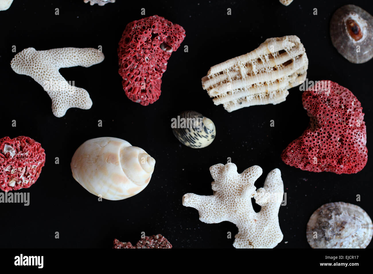 Weisse sch hi-res stock photography and images - Alamy