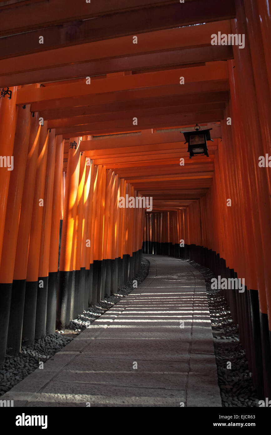 Orange Torii gates at Fushimi Inari Taisha Shrine in Kyoto, Japan Stock ...