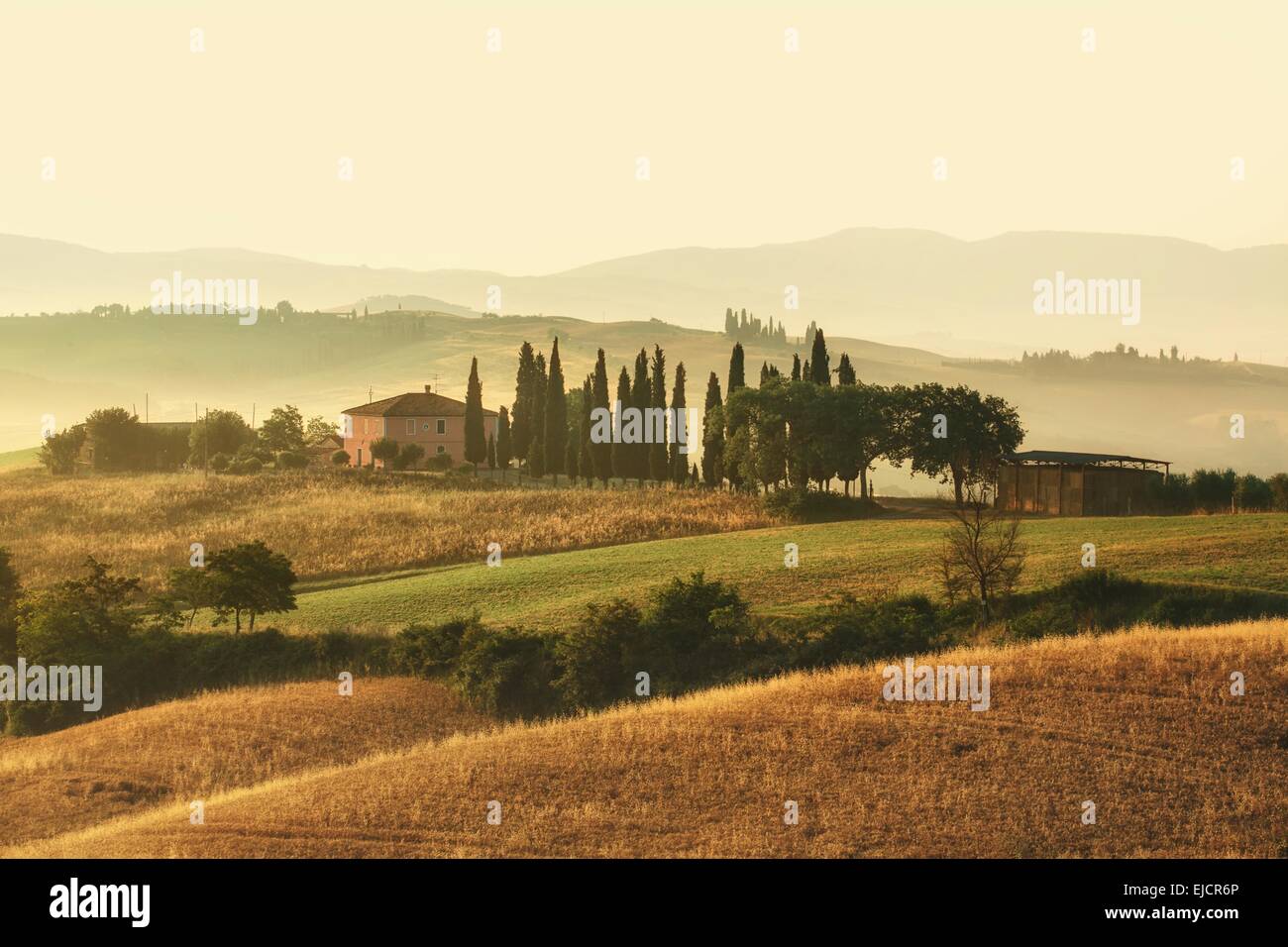 Early morning on countryside Stock Photo - Alamy