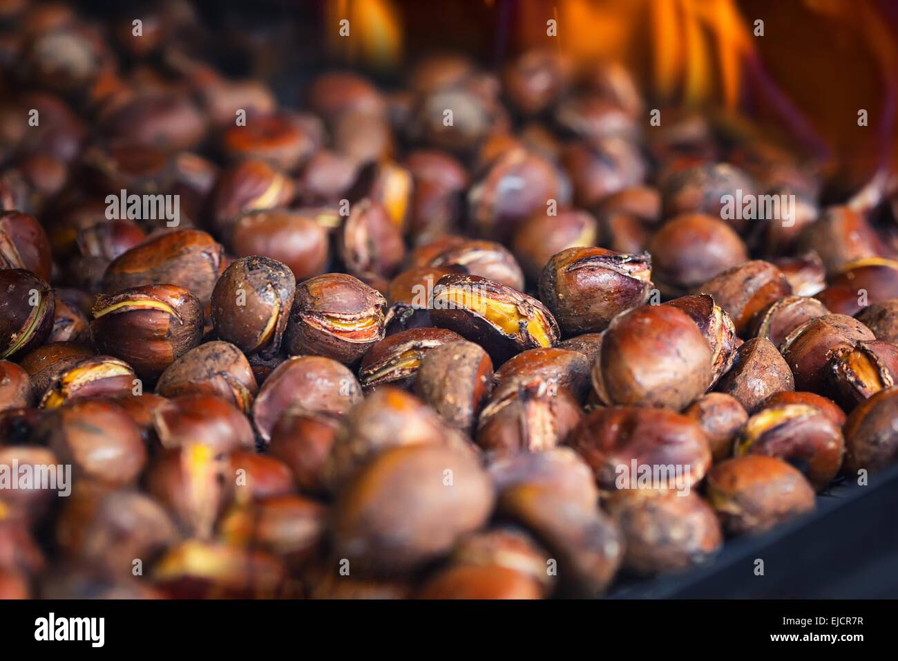 Shell detailed hi-res stock photography and images - Alamy