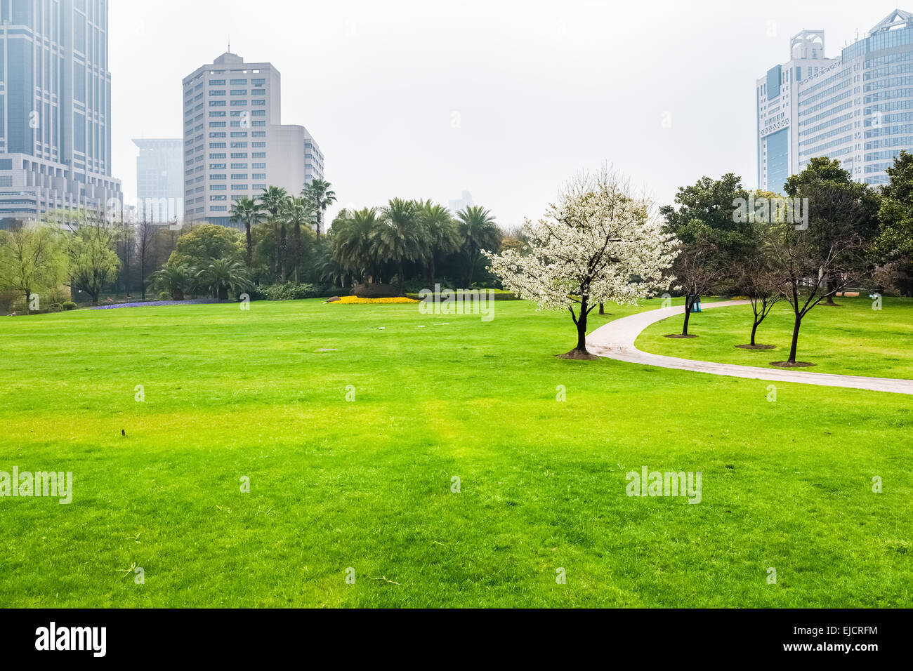 city green lawn Stock Photo - Alamy