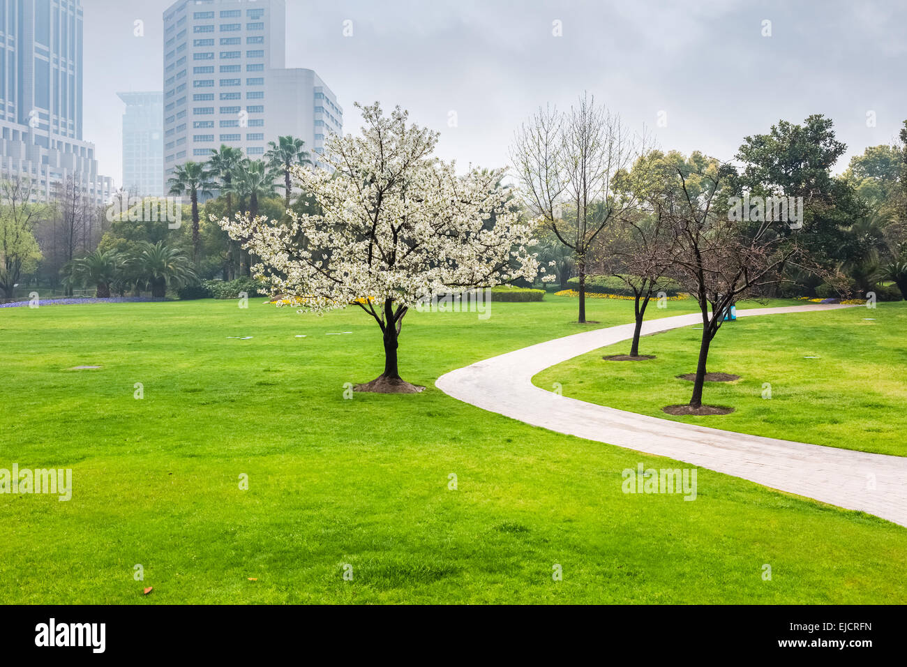 city park in spring Stock Photo - Alamy
