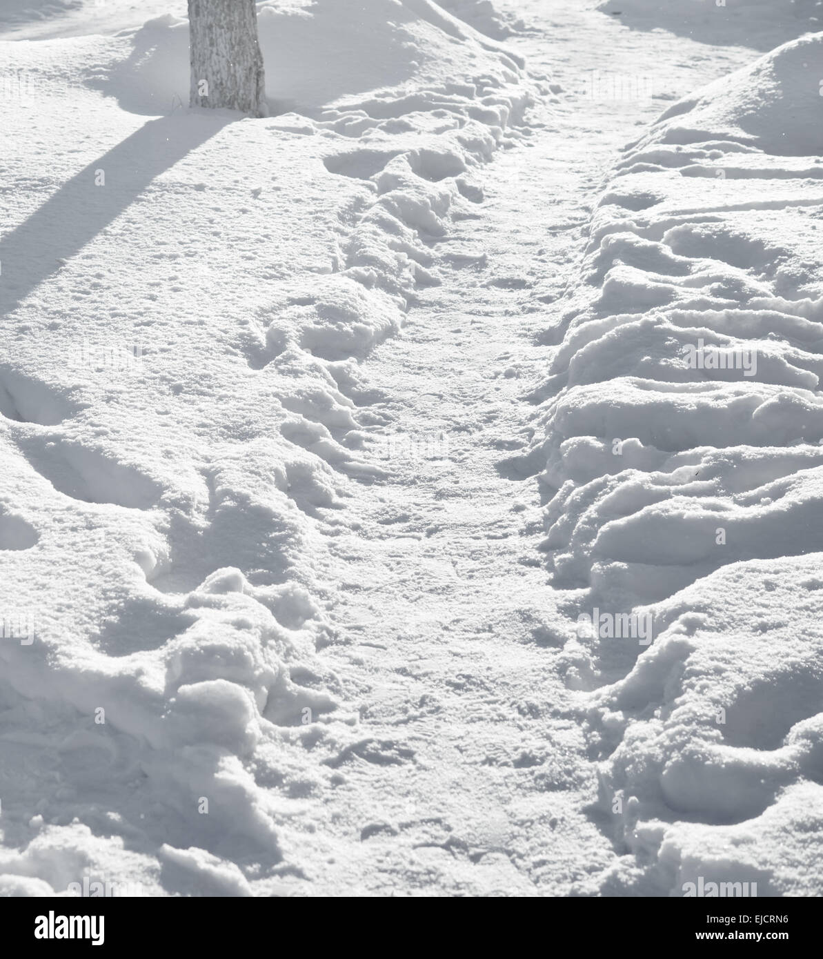 Long winter pathway hi-res stock photography and images - Alamy