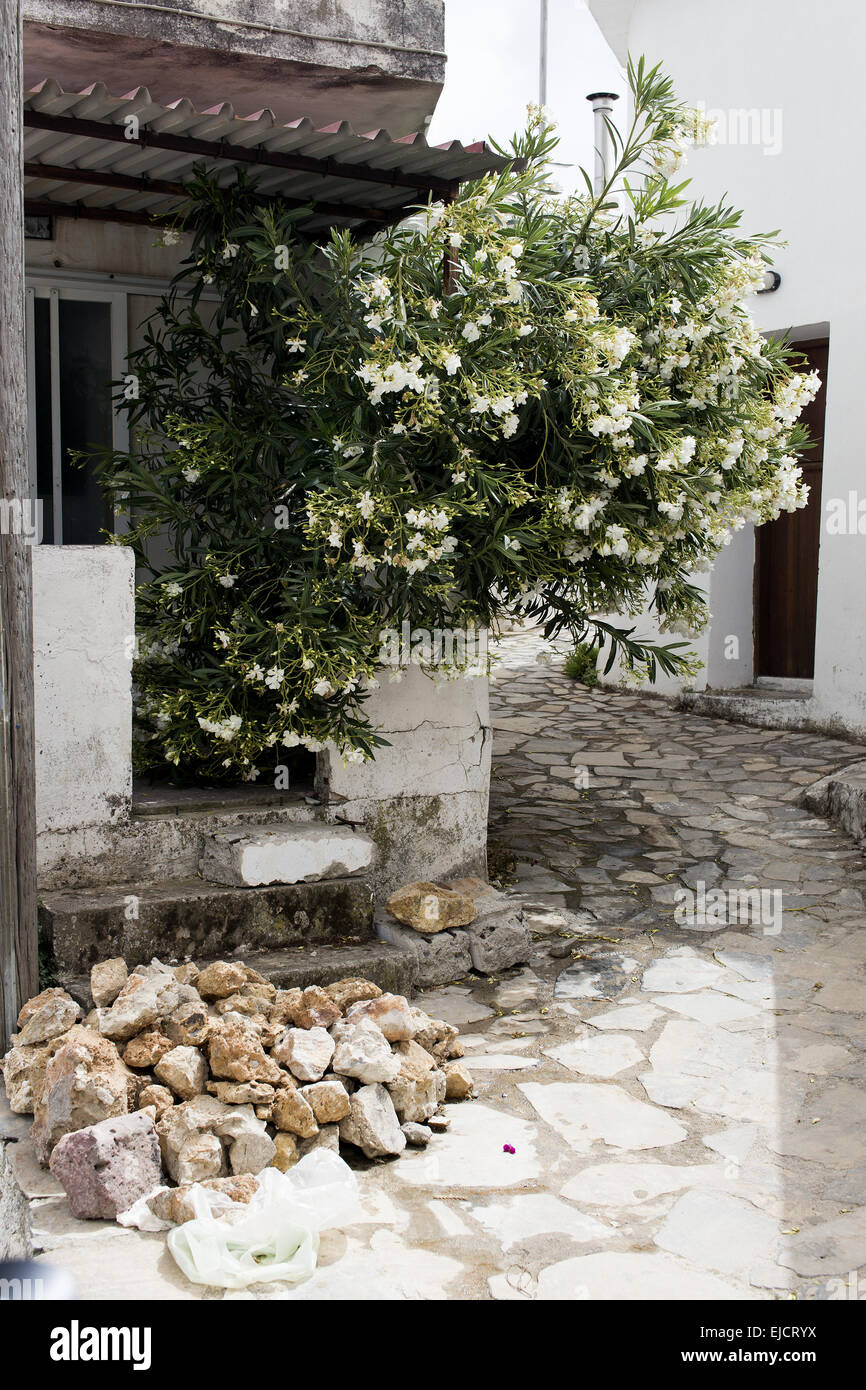 Sellia - Crete Stock Photo - Alamy