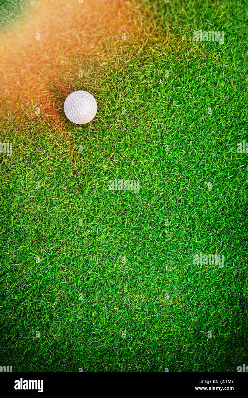 Golf Ball on the Grass for web background Stock Photo - Alamy