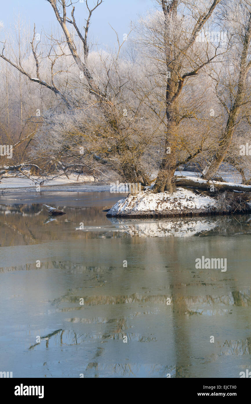 The old rhine hi-res stock photography and images - Alamy