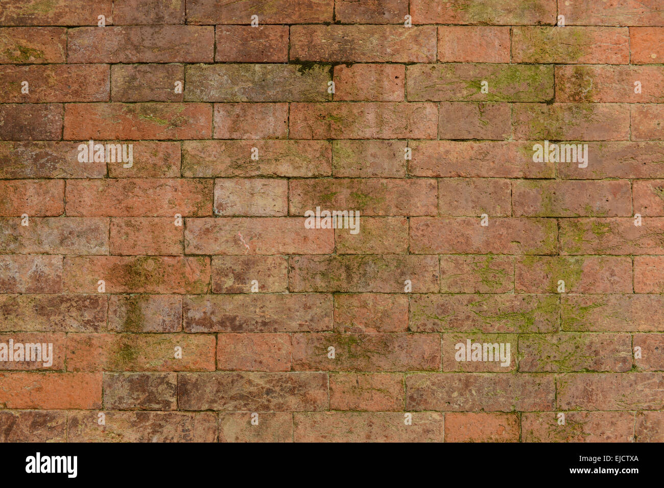 Old Bricks with Moss Background Stock Photo - Alamy