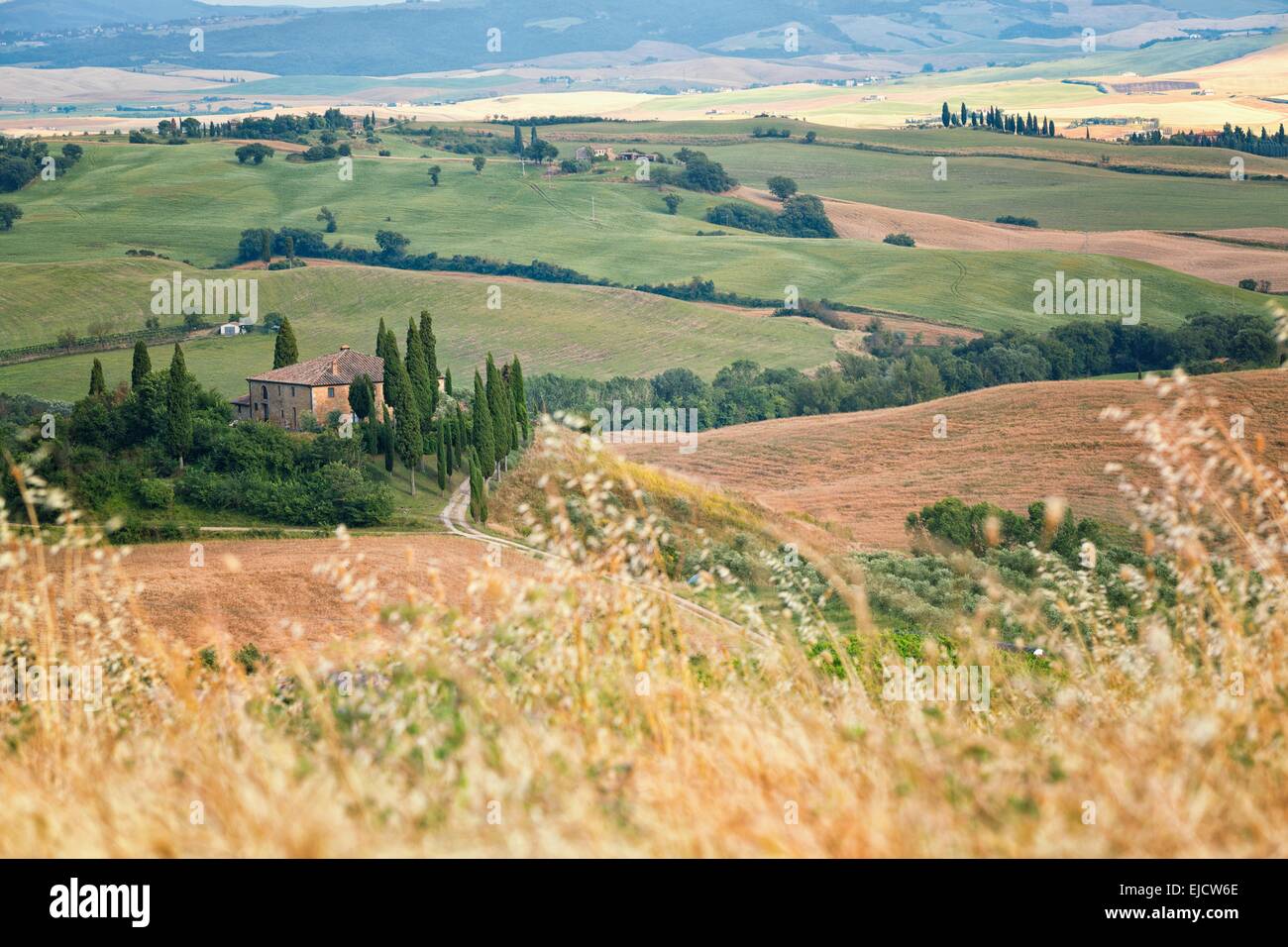 Scenic view of typical Tuscany landscape Stock Photo - Alamy