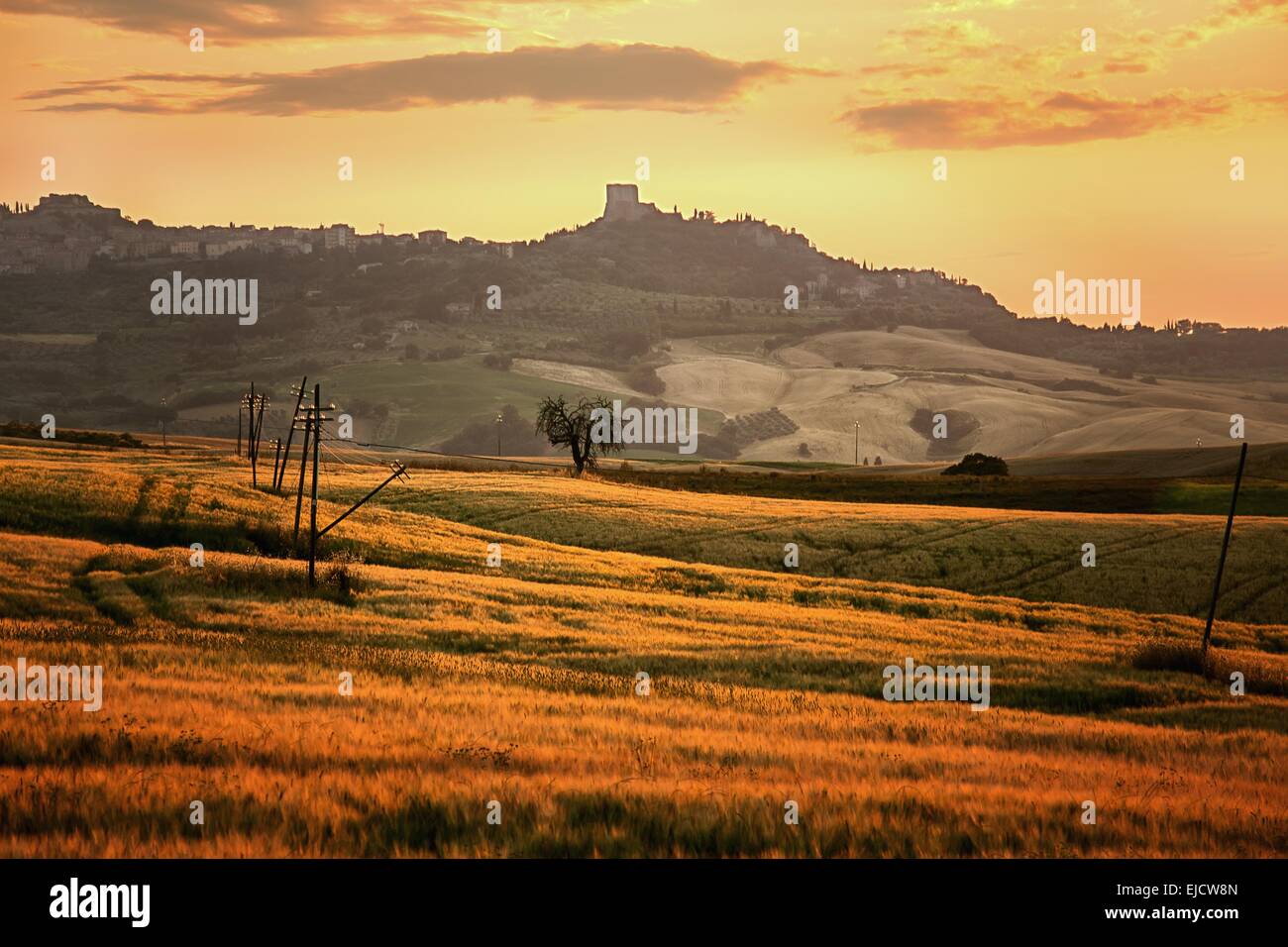 Scenic view of typical Tuscany landscape Stock Photo - Alamy