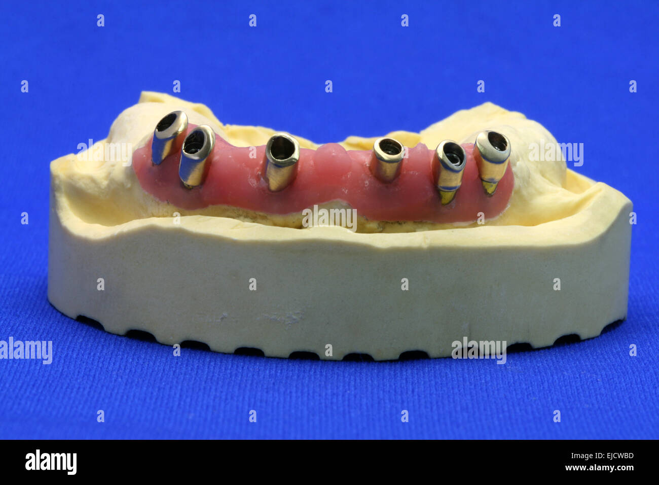 Gips Model High Resolution Stock Photography and Images - Alamy