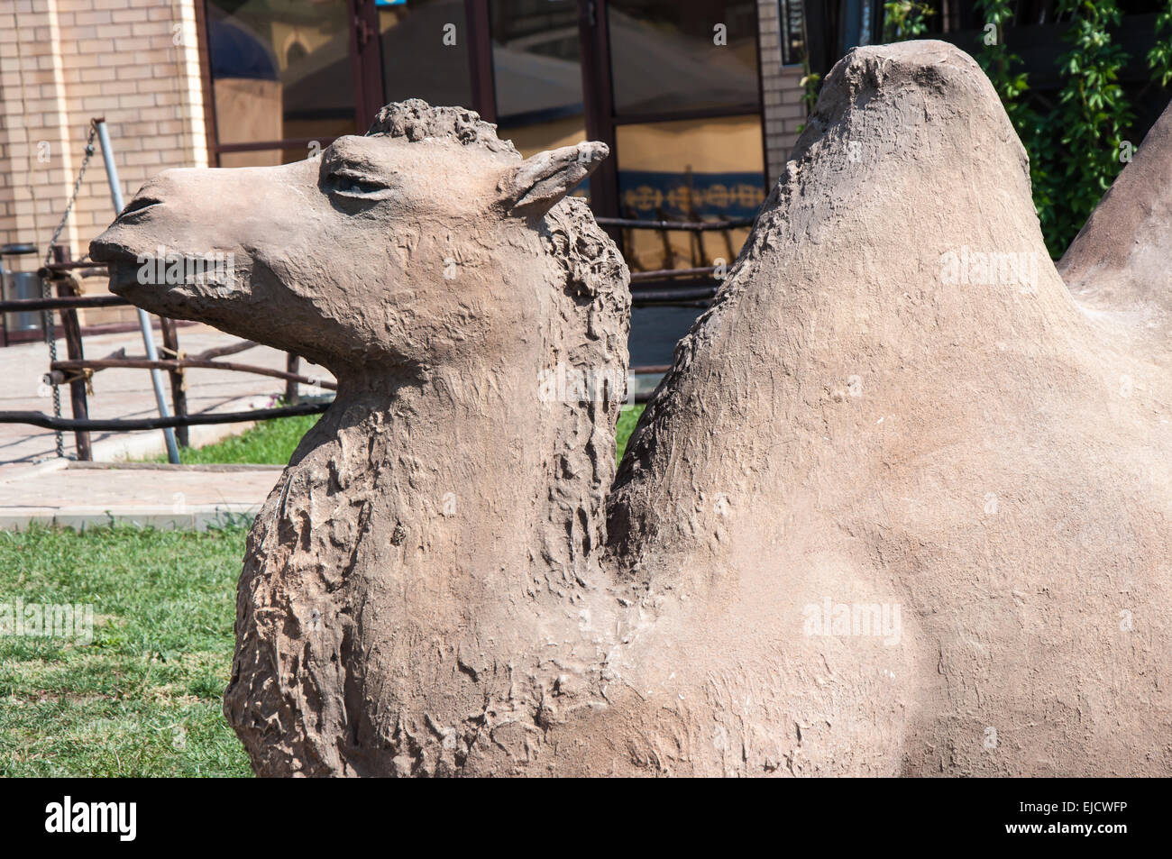 The camel is a symbolic "ship of the desert", slowly walking on the ...