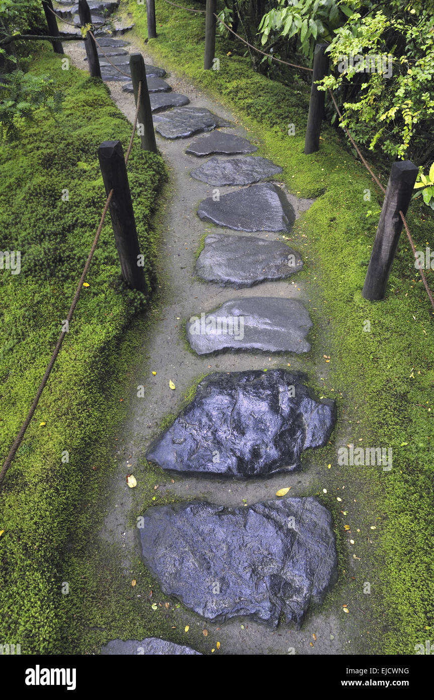 Wet stone hi-res stock photography and images - Alamy