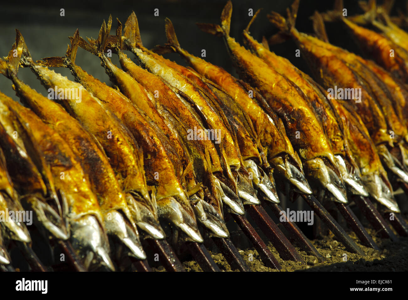 grilled fish at Oktoberfest in Munich Stock Photo - Alamy