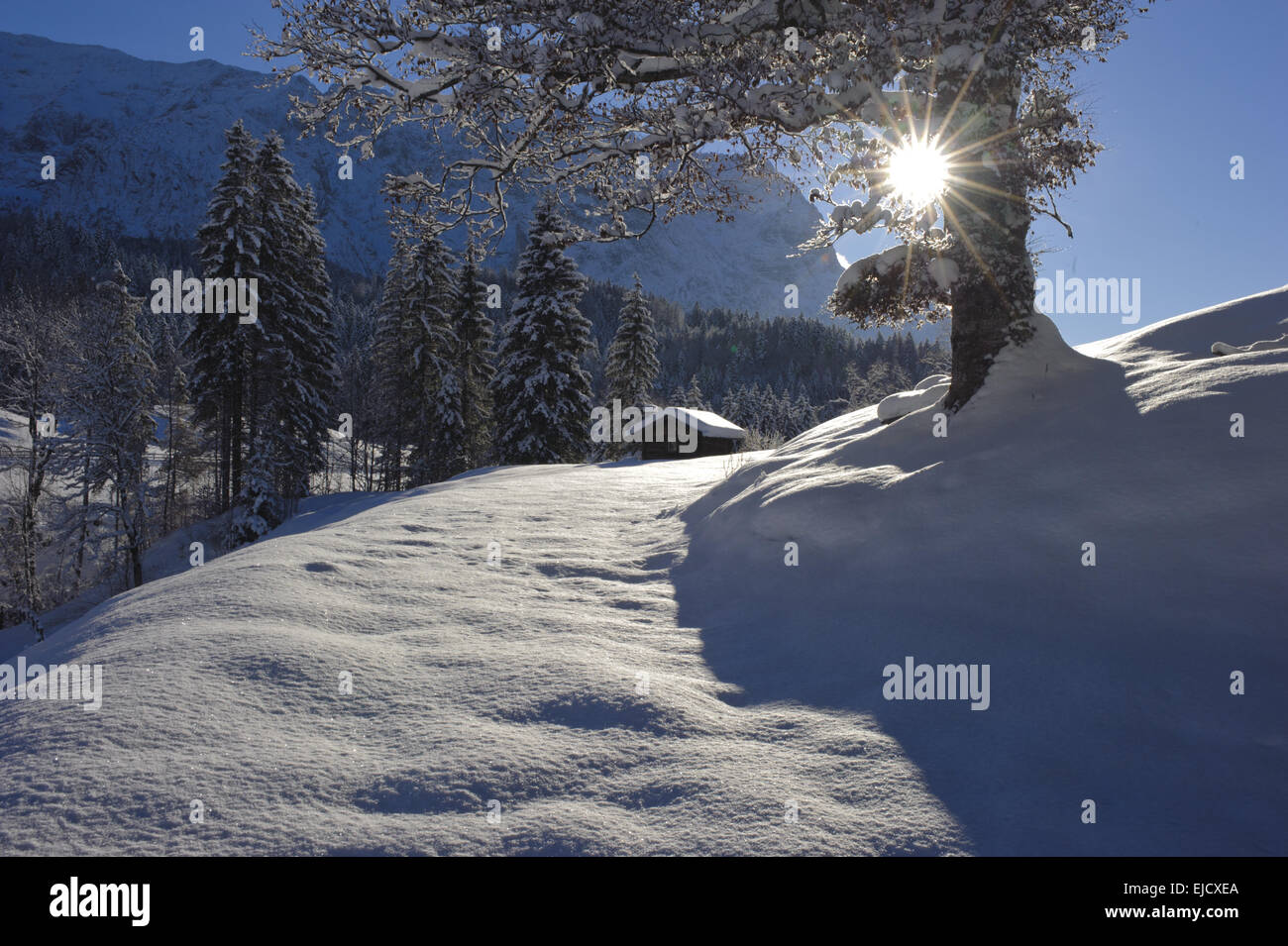 panorama landscape in Bavaria at winter Stock Photo - Alamy