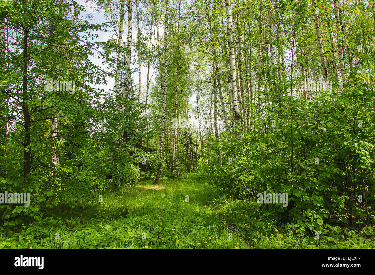 prairie landscape and sky Stock Photo - Alamy