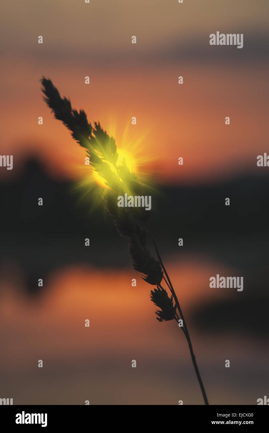 prairie landscape and sky Stock Photo - Alamy