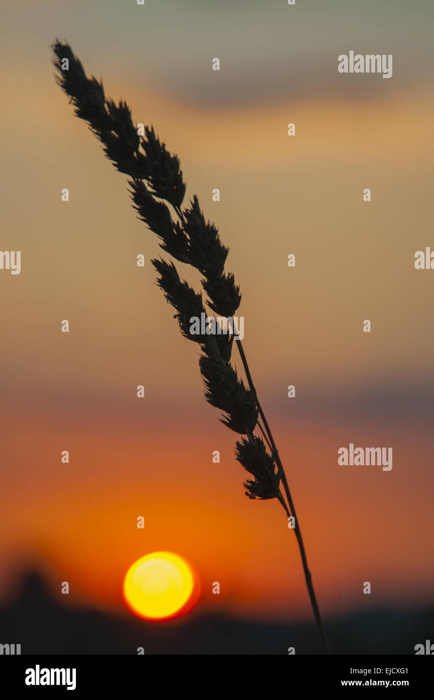 prairie landscape and sky Stock Photo - Alamy