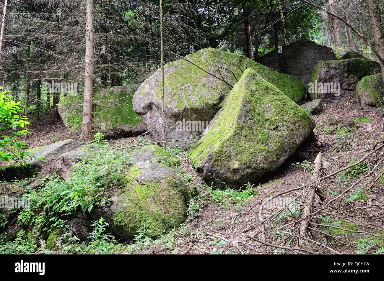 Ice age boulder hi-res stock photography and images - Alamy