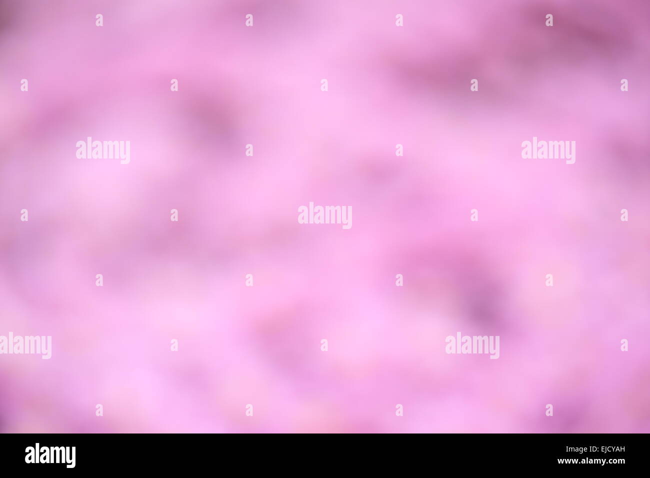 abstract blur background, colorful background, blurred, wallpaper Stock ...