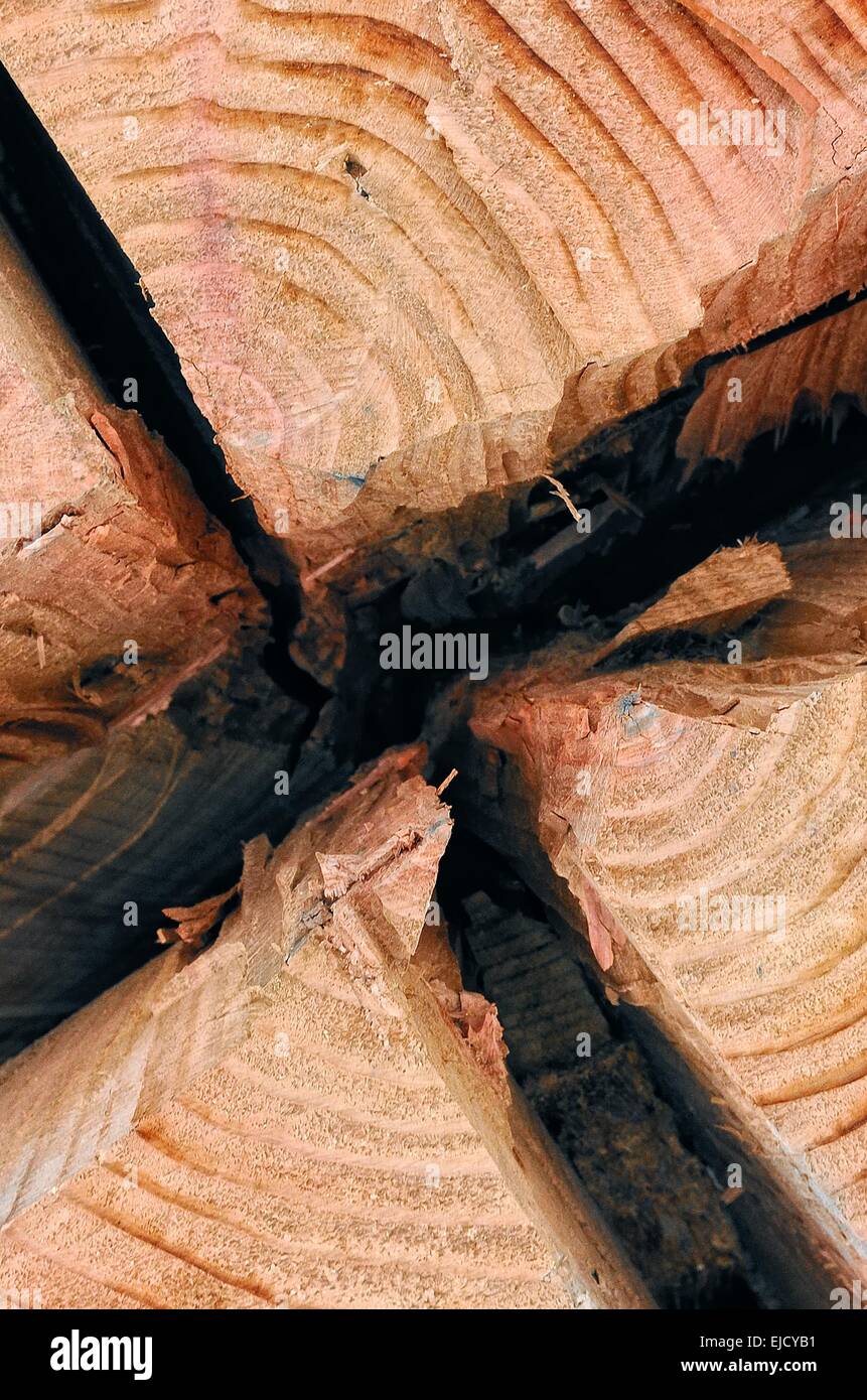 Quarter sawn wood hi-res stock photography and images - Alamy