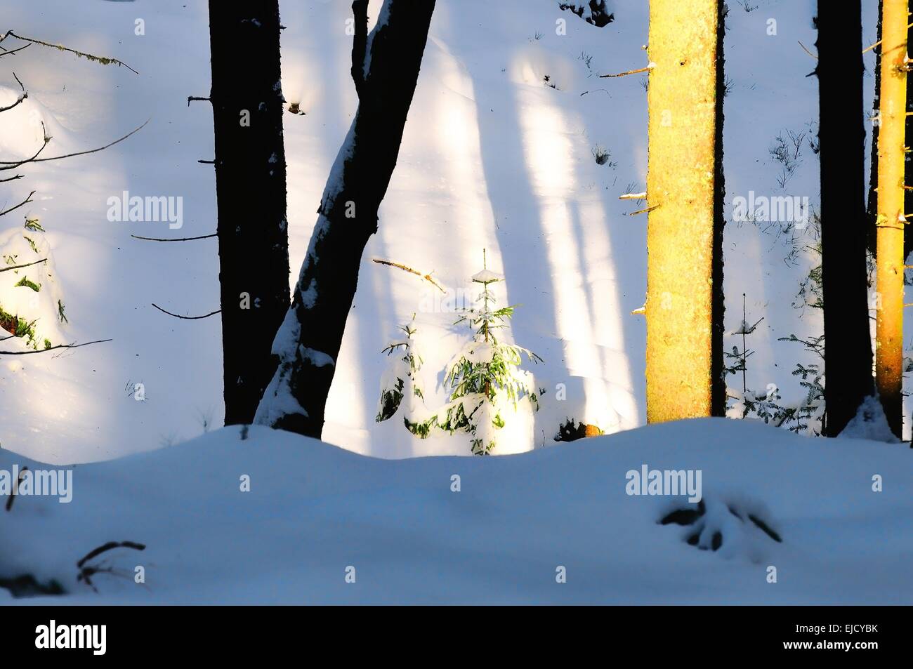 Cold spot hi-res stock photography and images - Alamy