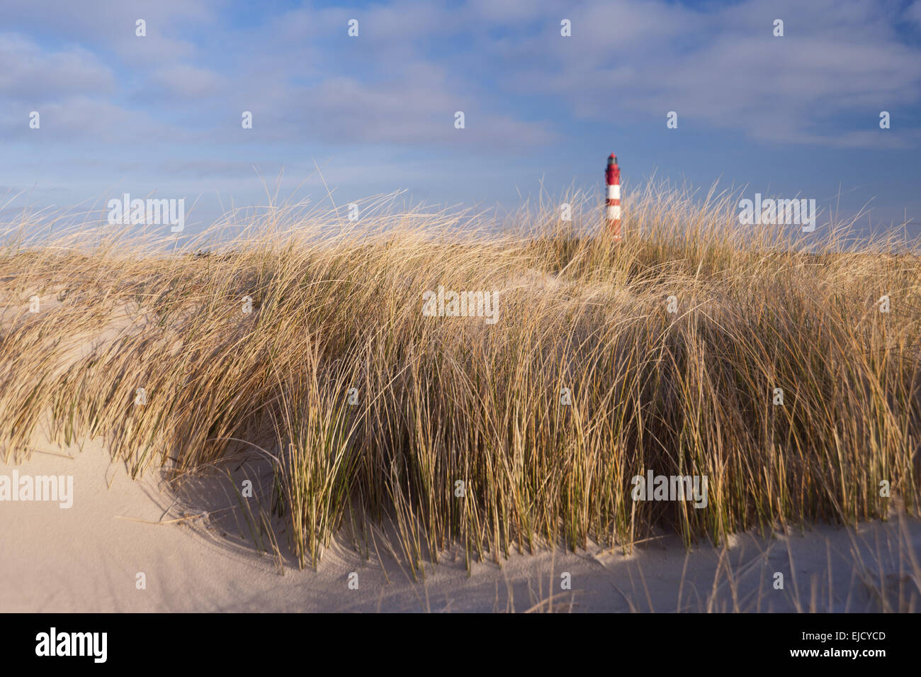 Lighthouse on Amrum Stock Photo - Alamy