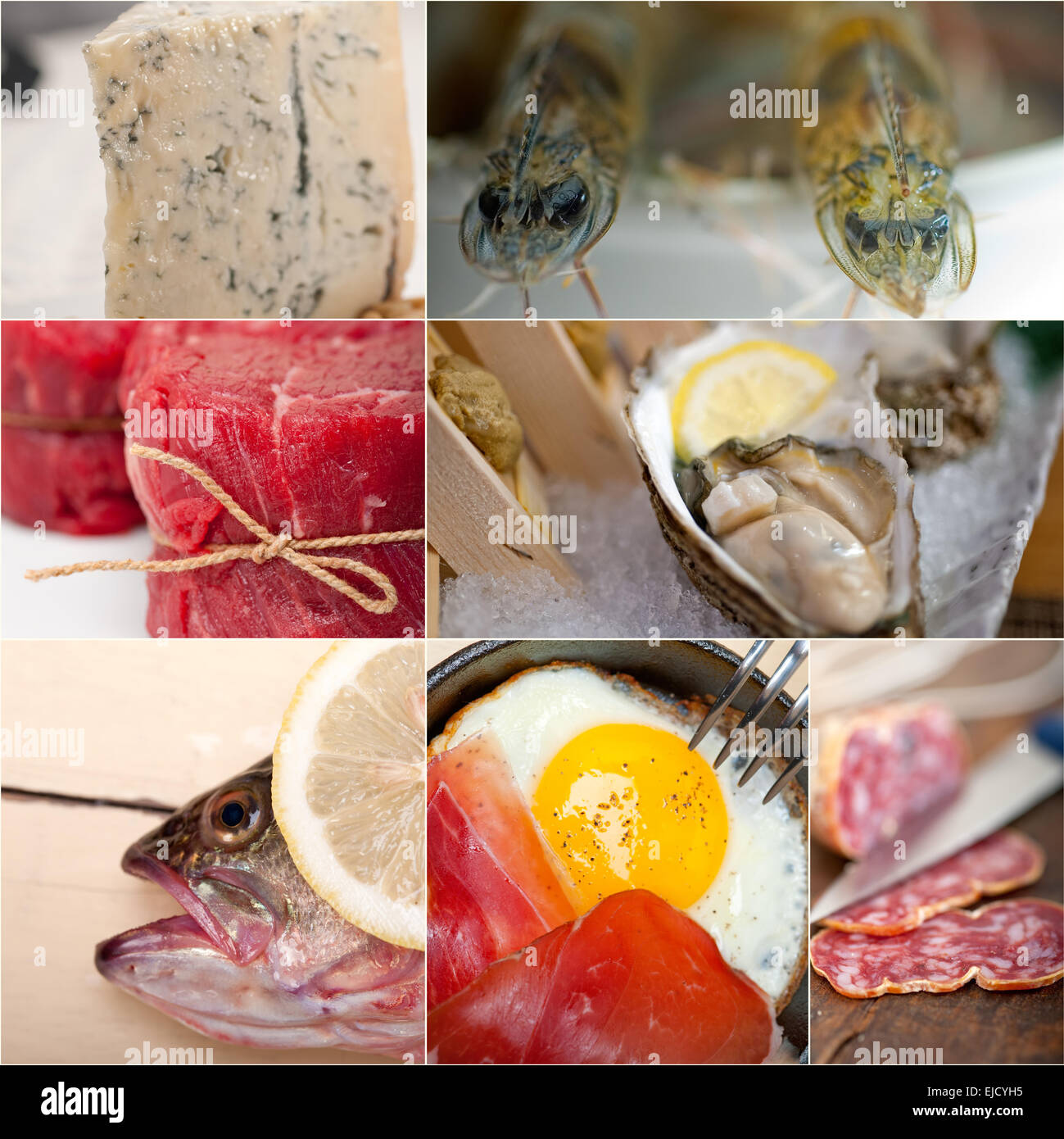 high protein food collection collage Stock Photo - Alamy