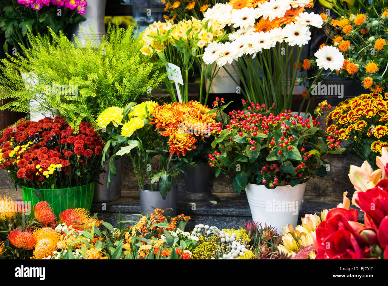 Street flower shop with colourful flowers Stock Photo - Alamy