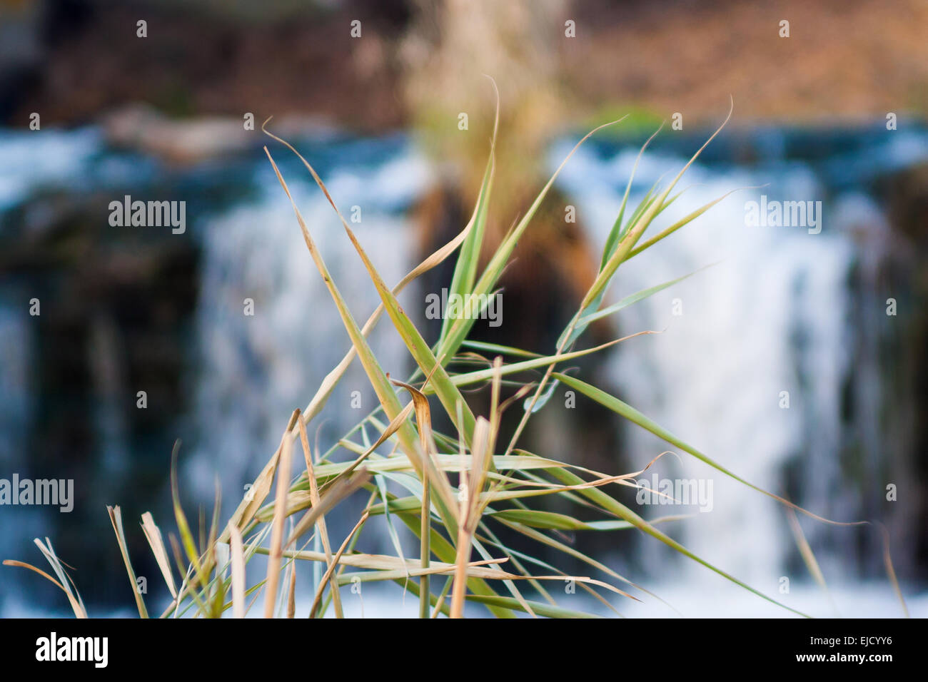 river view with waterfall Stock Photo - Alamy